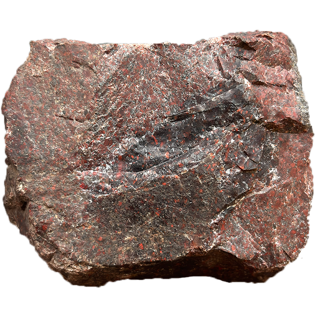 About – The Mid-Atlantic Chert Database